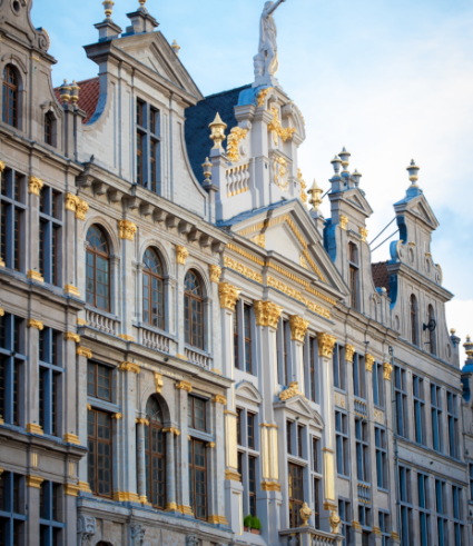 Contact BLCC voor je vragen